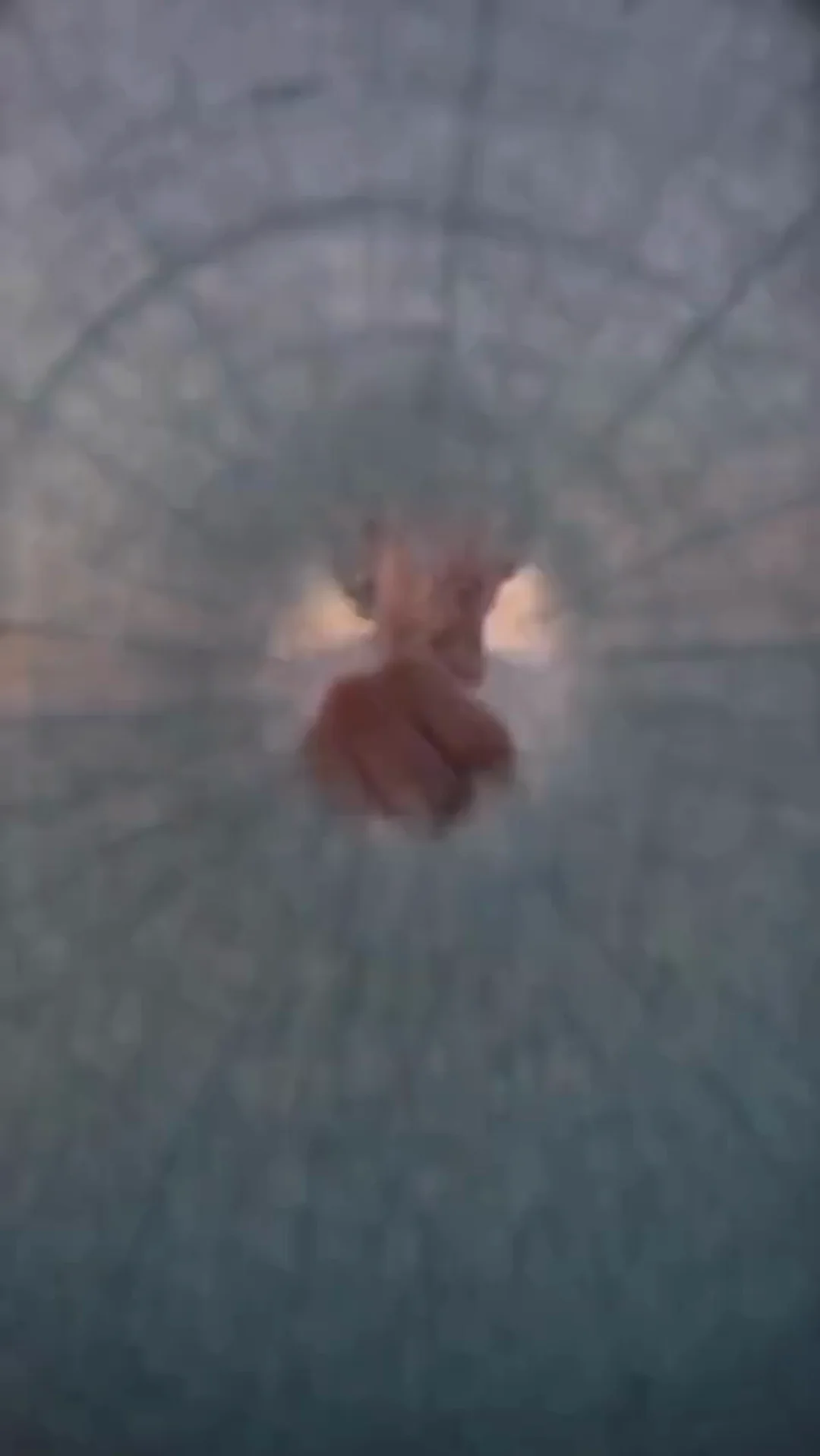AI Glass Breaking Video Generator: Break the Camera Glass Instantly ...