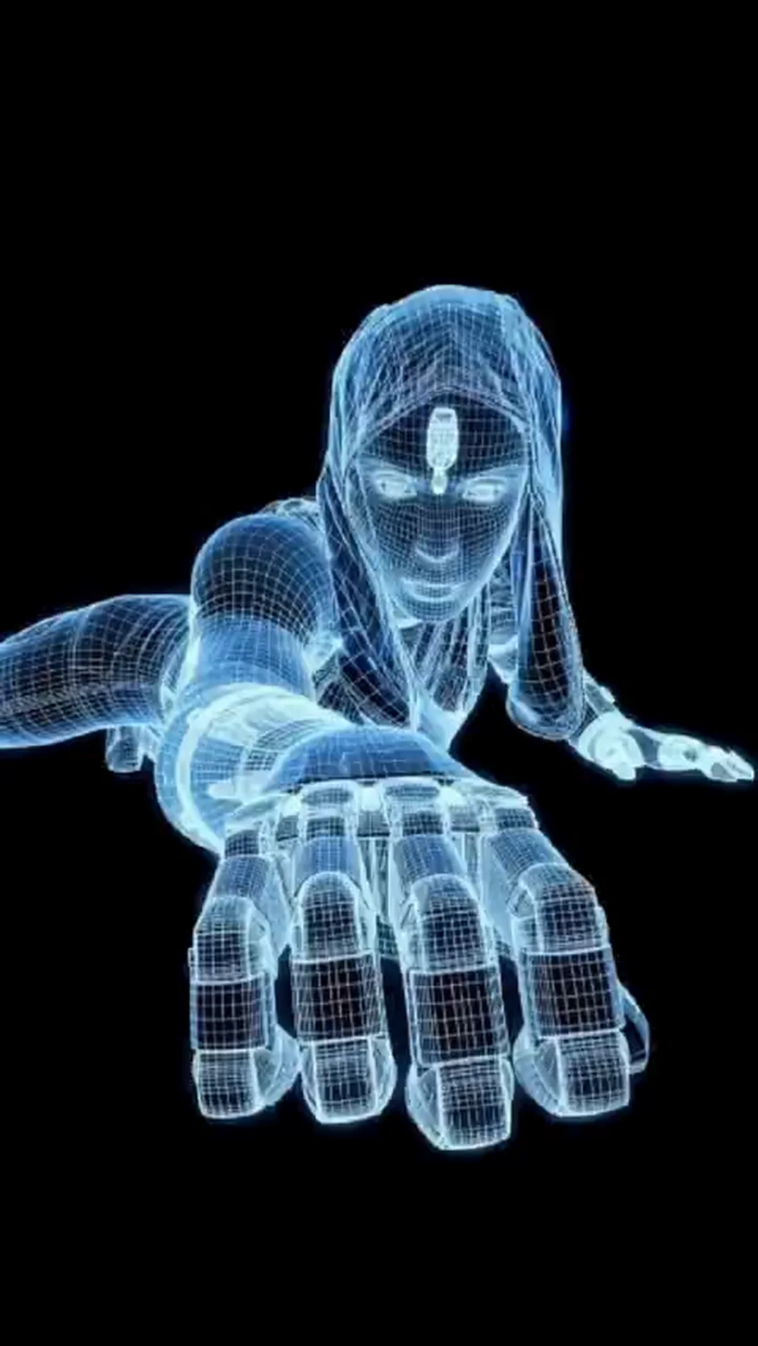 Wireframe Effect: Create Wireframe Transformation Videos | Pollo AI
