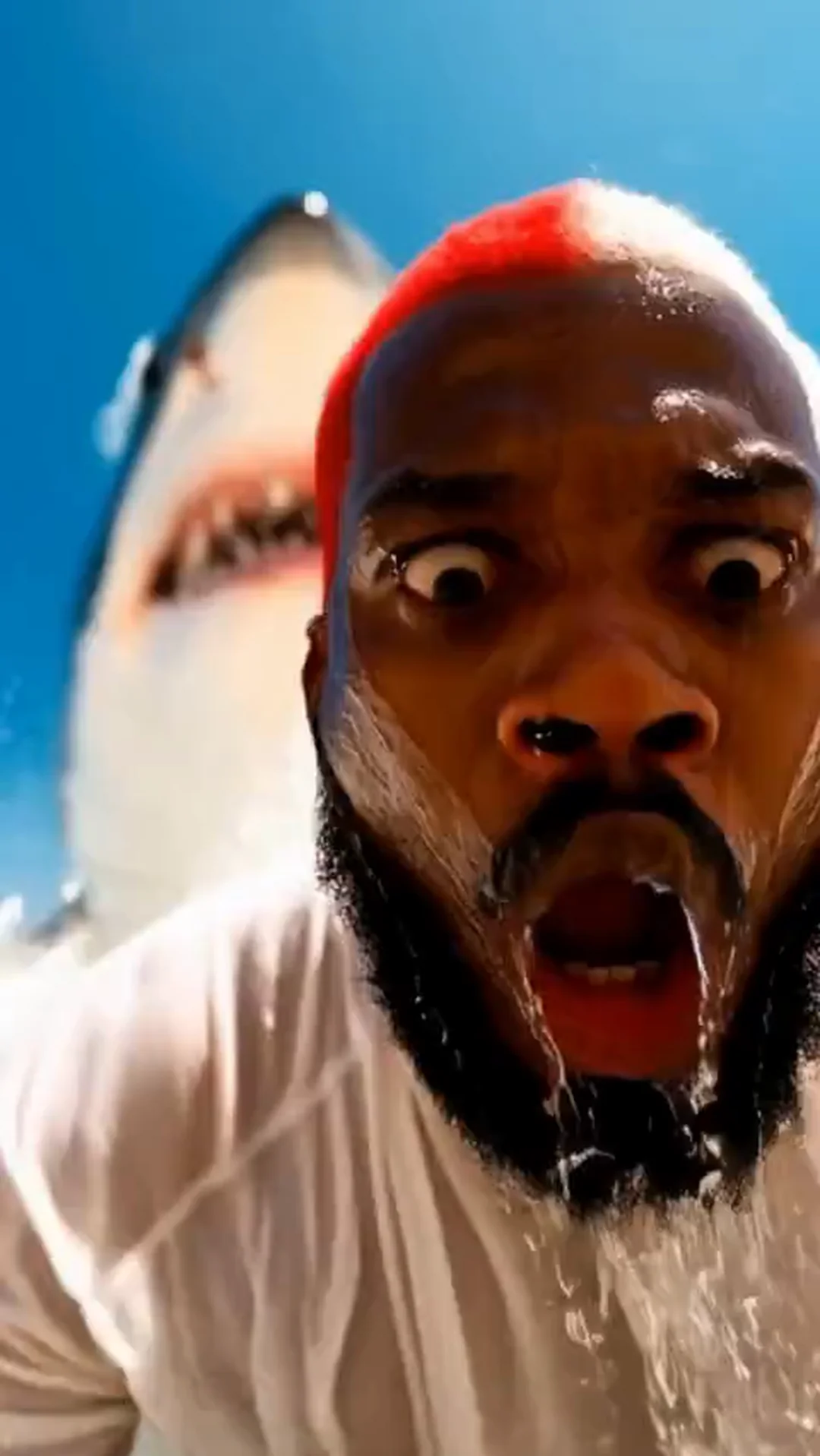 Terror in the Water by Edwin Deng: Get Thrilling Shark Attack Videos ...